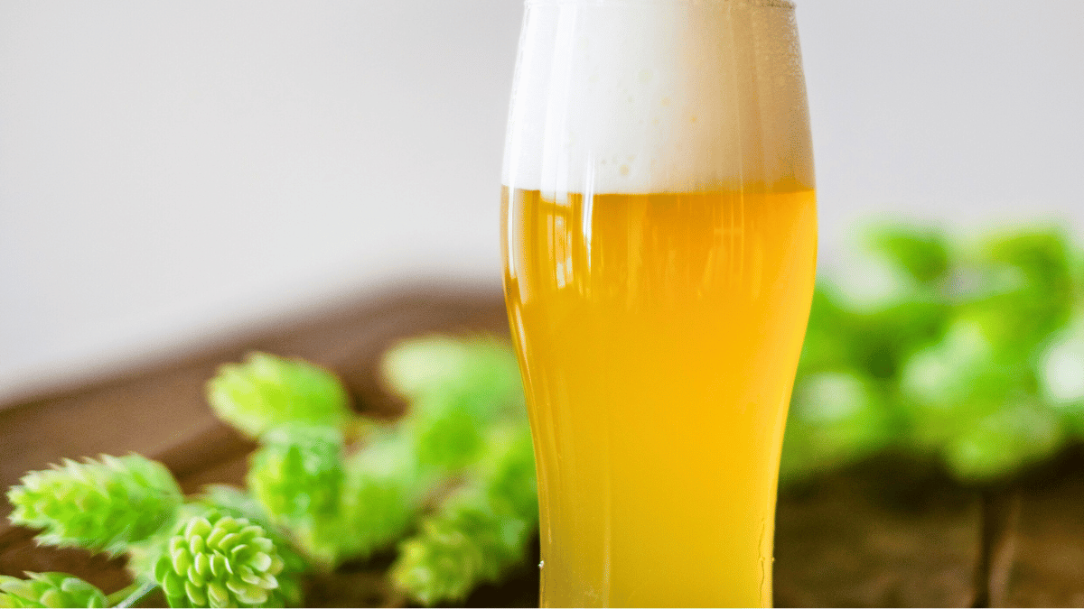 ビールのホップ由来成分に認知機能を支える可能性。「苦味酸」と脳の研究 - Easyhealth JAPAN｜イージーヘルス ジャパン